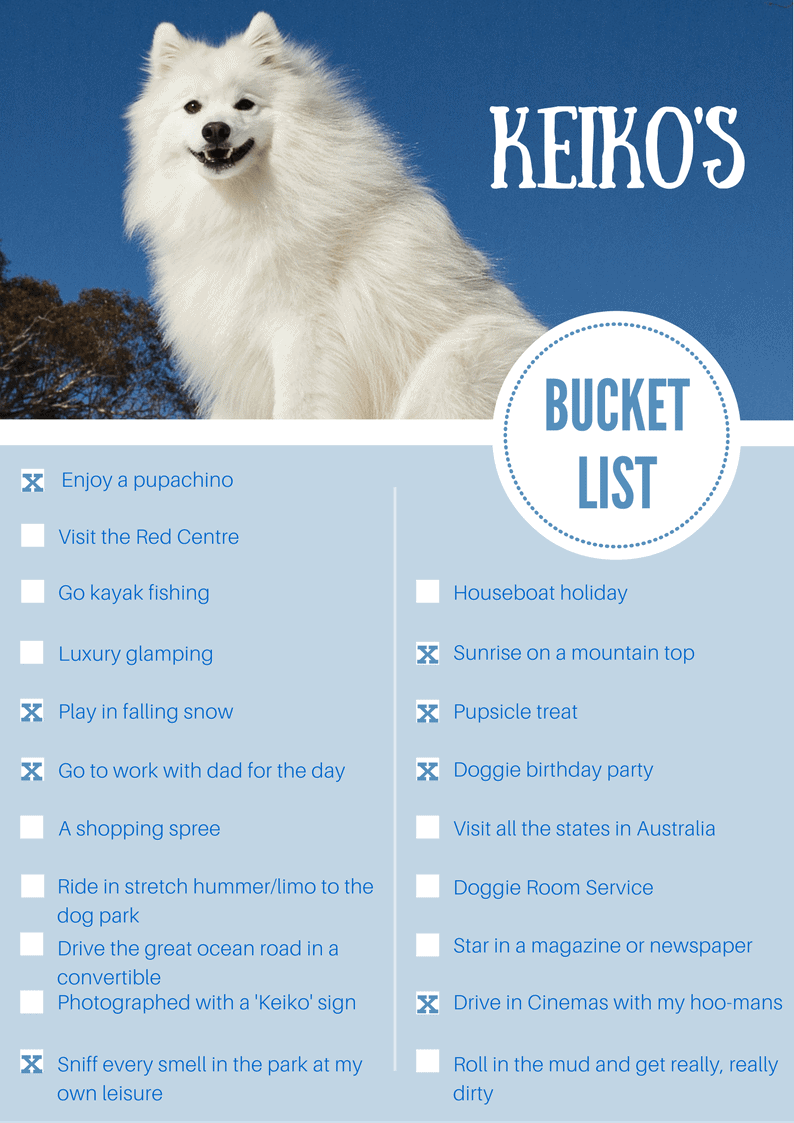 Your Dog’s Bucket List | Puppy Tales