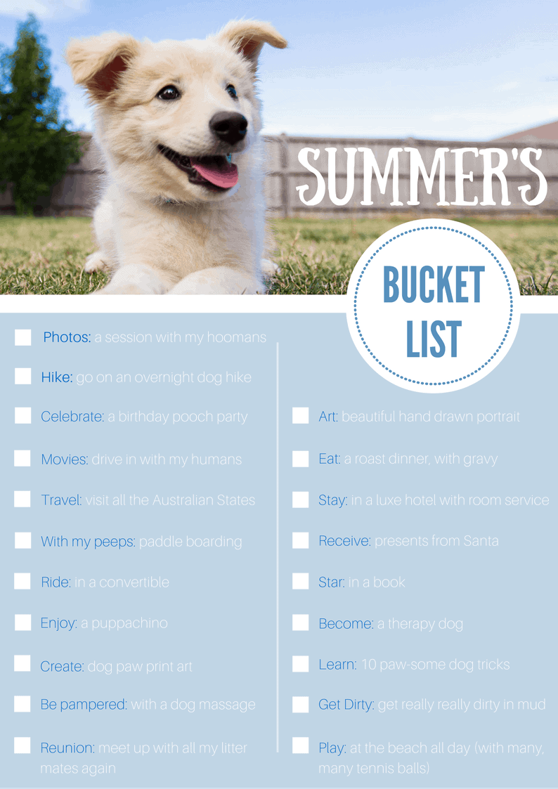 Your Dog’s Bucket List | Puppy Tales